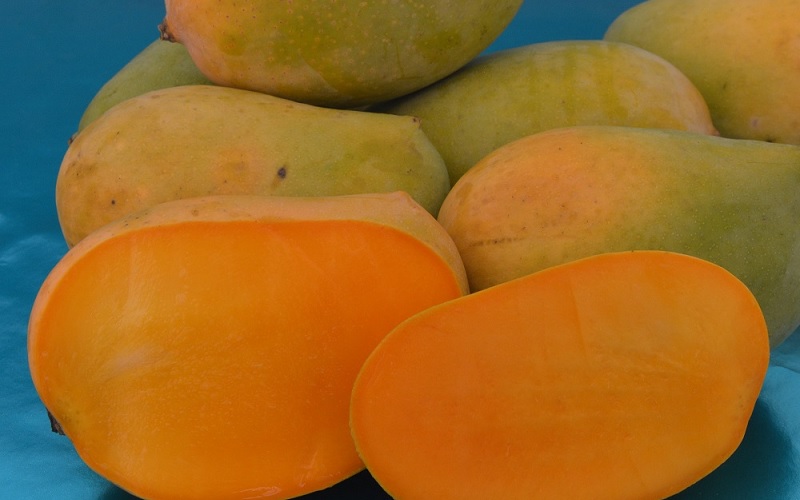 Did You Know? These 10 Varieties Of Mango Found In India Will Make You ...